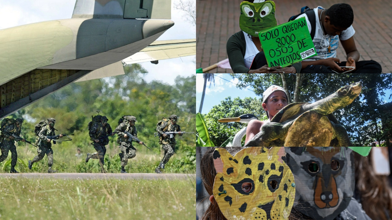 Ecosistemas bajo fuego, conflicto armado amenaza la fauna de Colombia ...